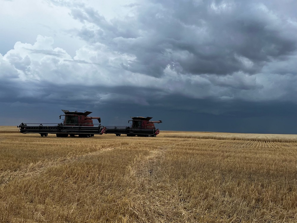 Season winding down for local farmers - DiscoverMooseJaw.com - Local news, Weather, Sports, Free ...